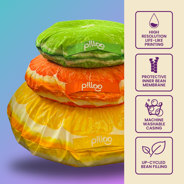 Fruit Burst Floor Pillows – Pilloo